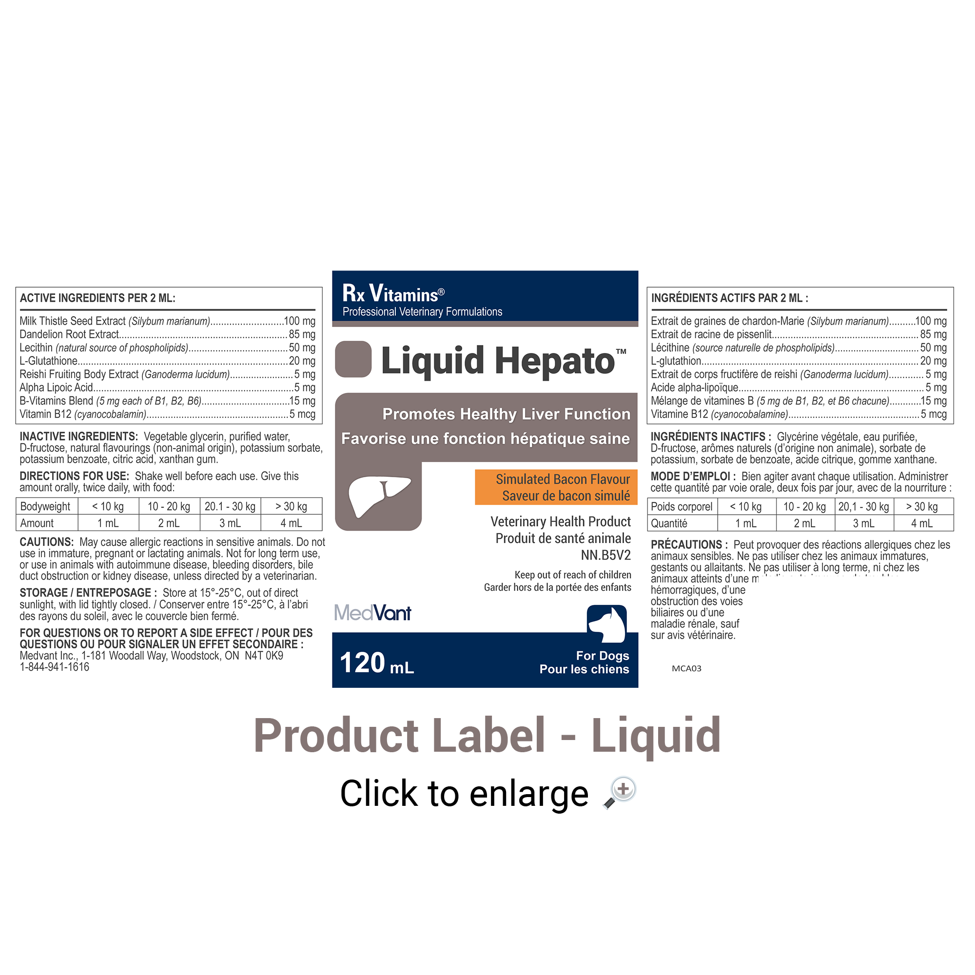 Hepato Support – WellnessVet.ca